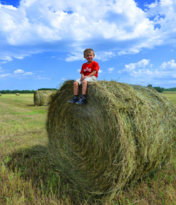 McNeill Life Stories Grayson Chronicles: Part III - McNeill Life Stories