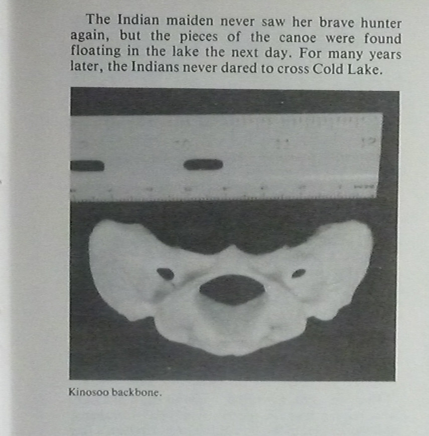 McNeill Life Stories The Big Kinosoo: Origin of the Legend - McNeill ...