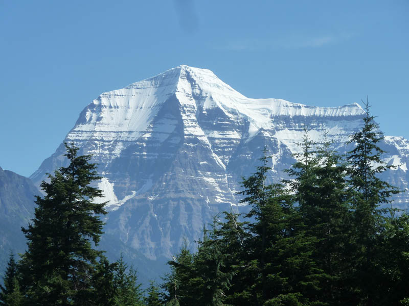 McNeill Life Stories Grayson Chronicles: The Journey Begins - McNeill ...